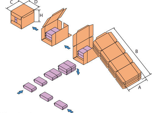 380V Food Packaging Systems Custom Capacity Side Push Box Packing Machine